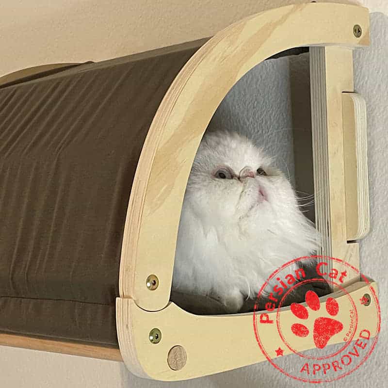 Persian Cat House Indoor Wall-Mounted Cat Bed 2025 PersianCat.shop