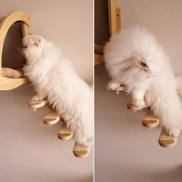 Persian Cat House Indoor Wall-Mounted Cat Bed 2025 PersianCat.shop